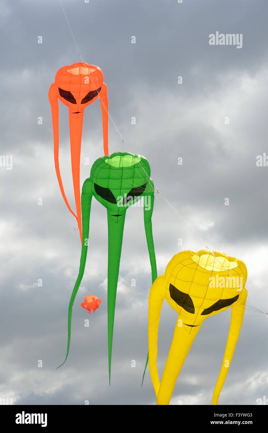 Leisure kite flying portrait color hi-res stock photography and images ...