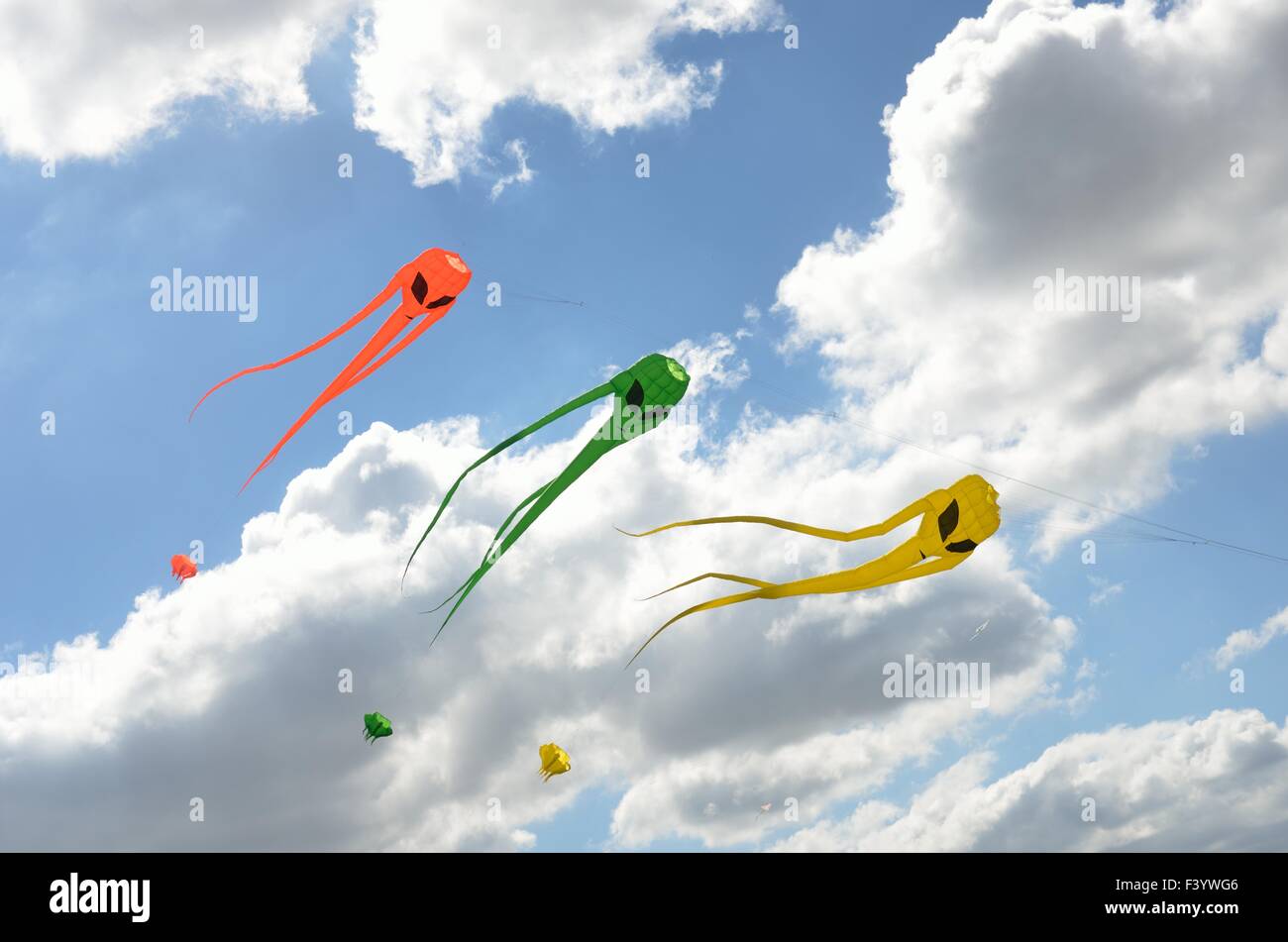 Flying br hi-res stock photography and images - Alamy