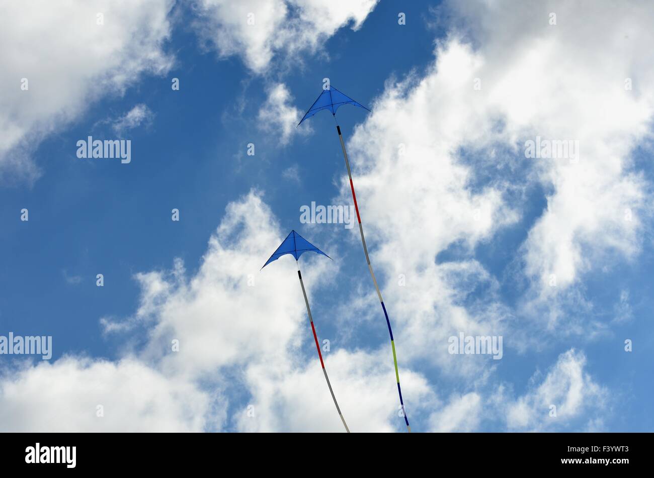 two blue kites Stock Photo - Alamy