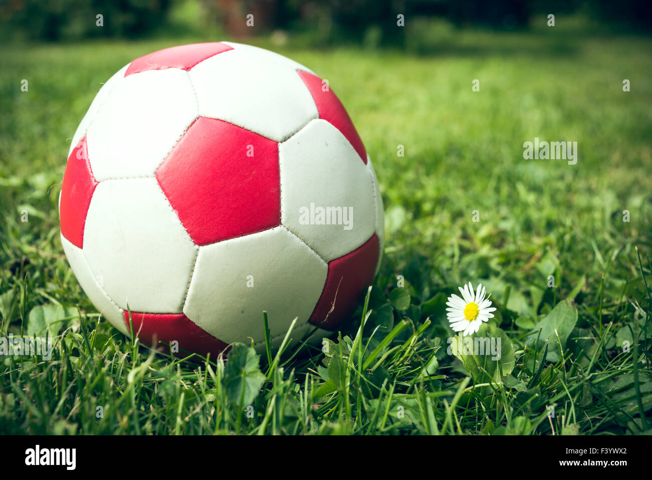 Football flower hi-res stock photography and images - Alamy