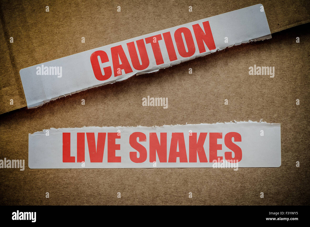 Caution sign snakes hi-res stock photography and images - Alamy