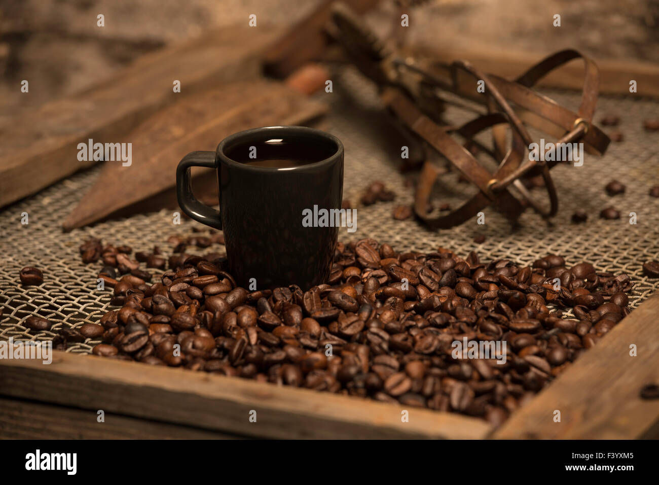Coffee inside a coffee cup, sitting on a bed of coffee seeds Stock ...