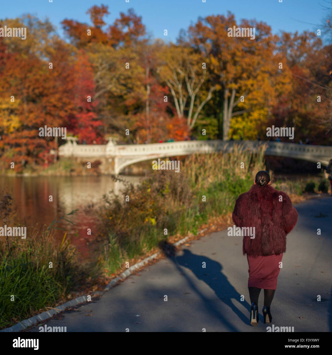 Lady wearing a crimson fur and walking toward bow bridge, Central Park ...