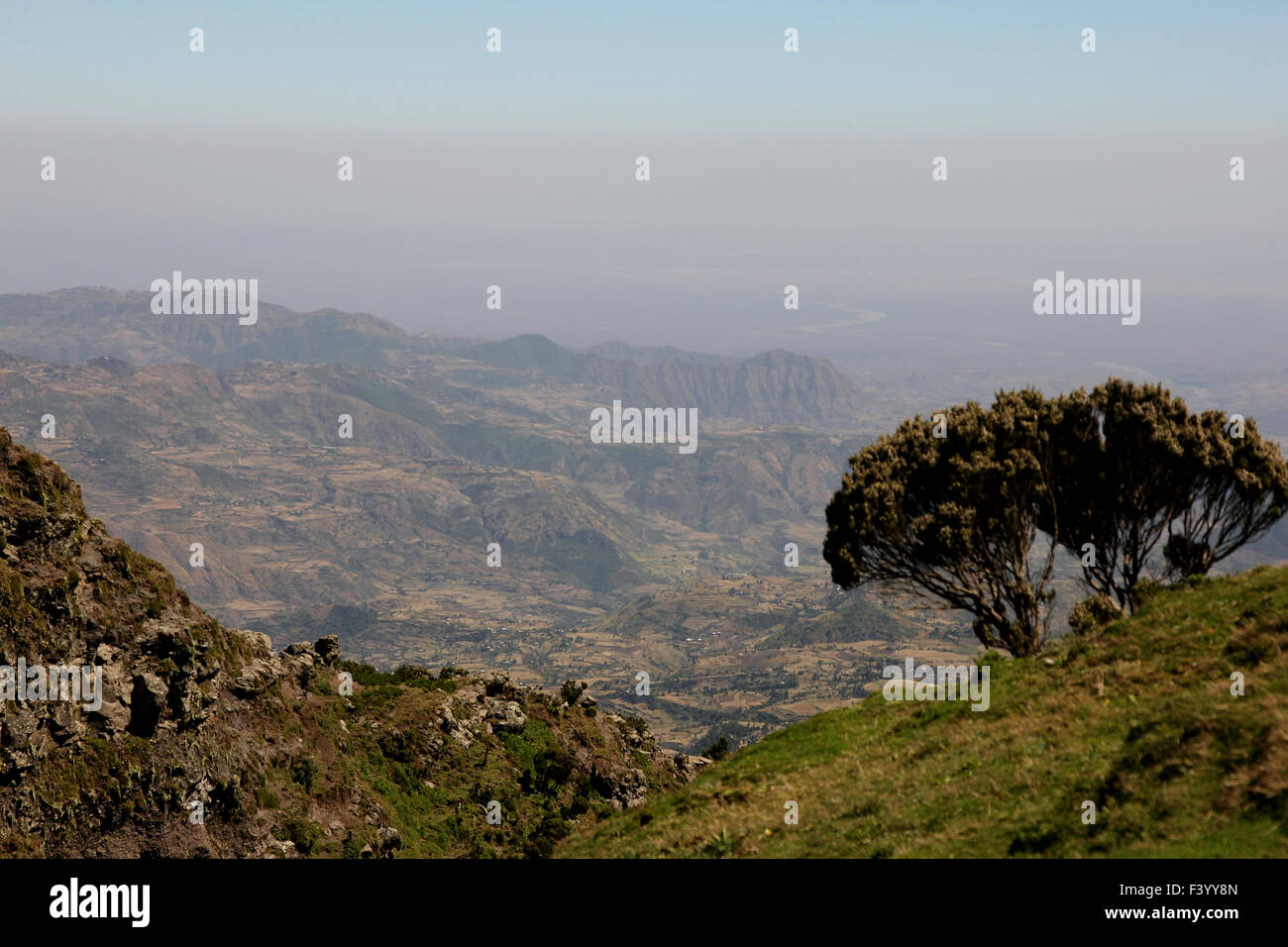 Awash hi-res stock photography and images - Alamy