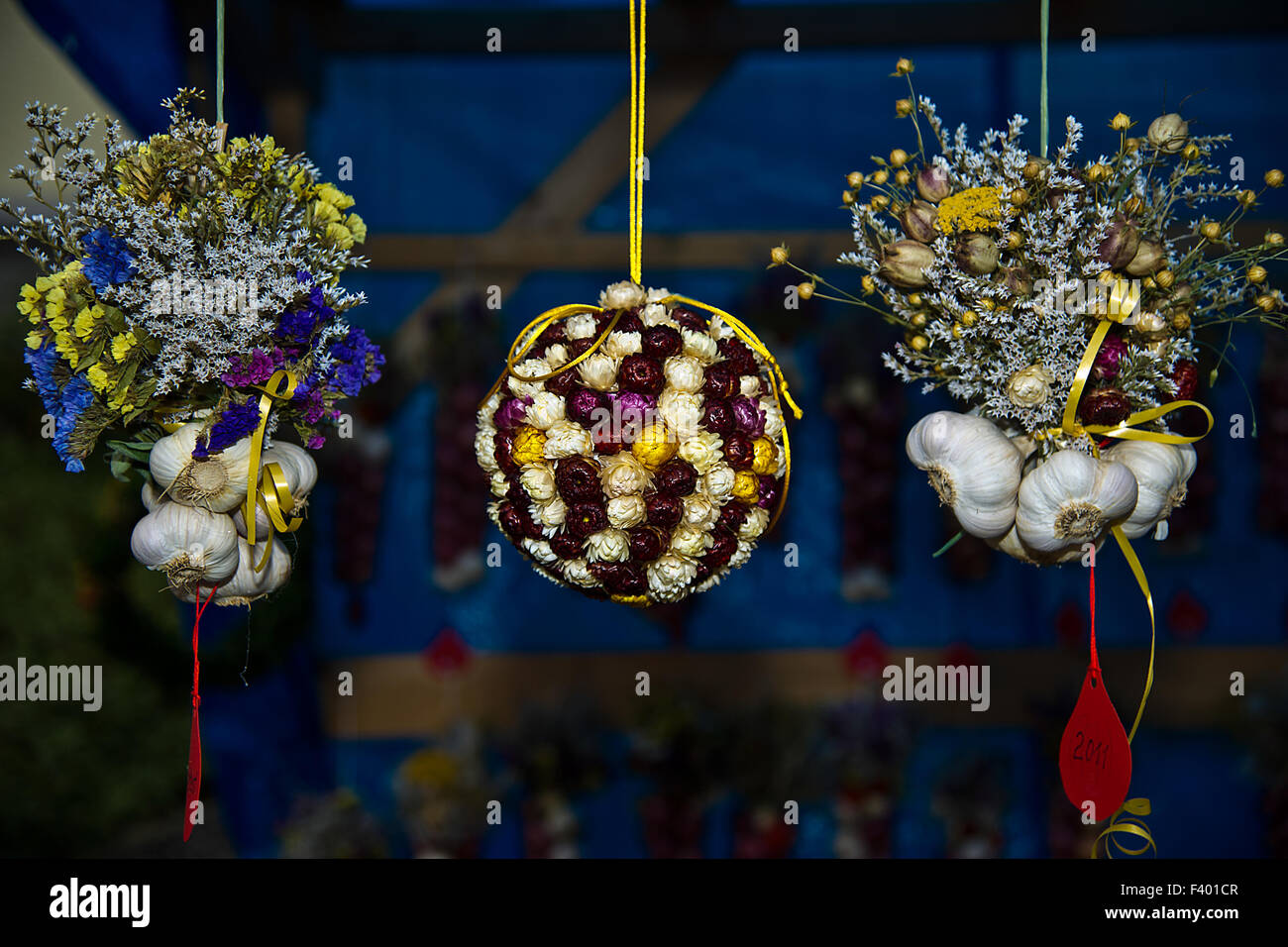 Cucurbit hi-res stock photography and images - Alamy