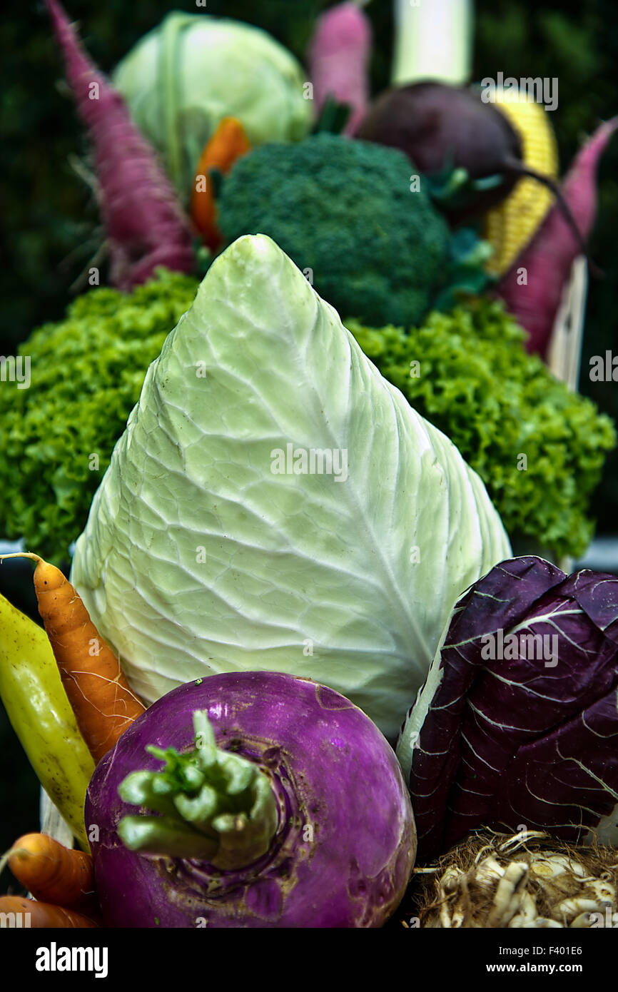 Vegtable High Resolution Stock Photography and Images - Alamy