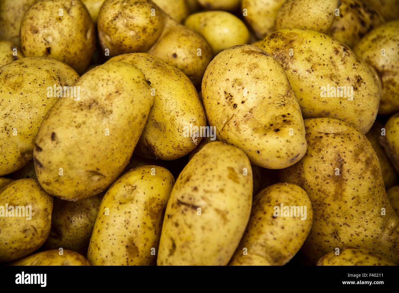 Marabell hi-res stock photography and images - Alamy