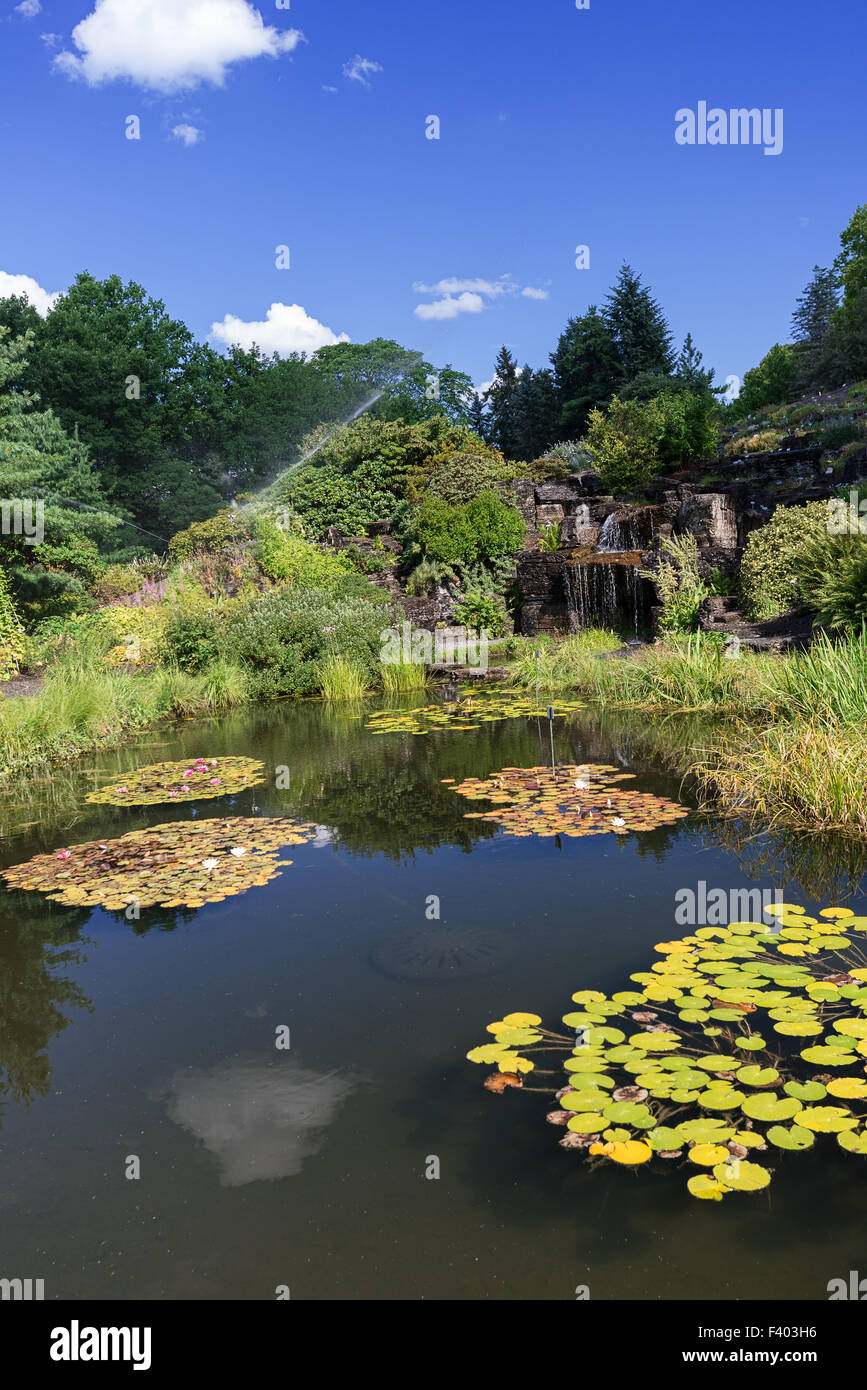 Clear garden pond hi-res stock photography and images - Alamy