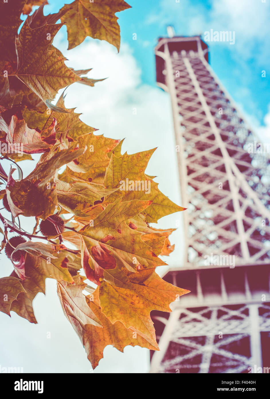 Eiffel tower fall hi-res stock photography and images - Alamy