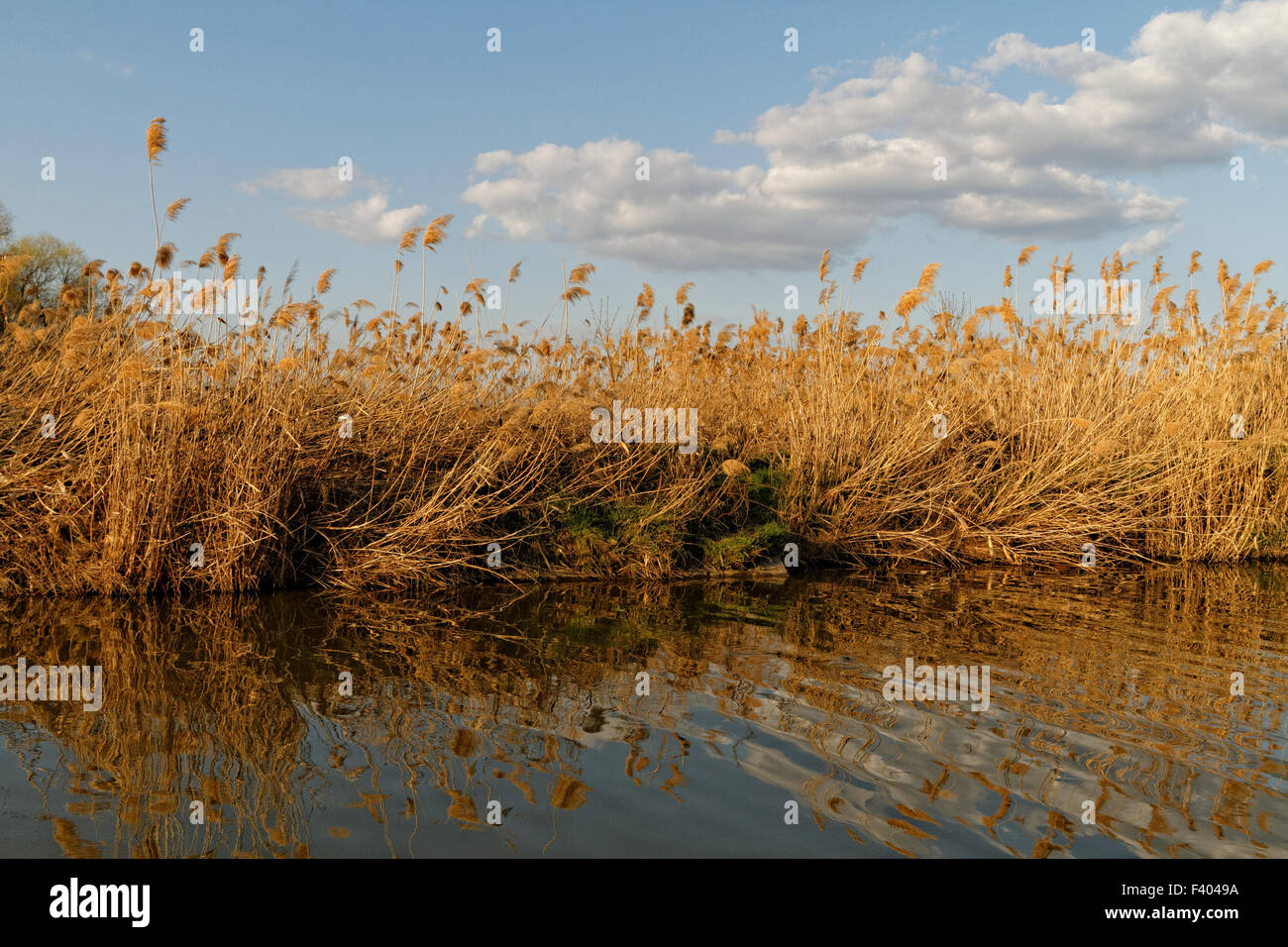 Peaceful lake photo hi-res stock photography and images - Alamy