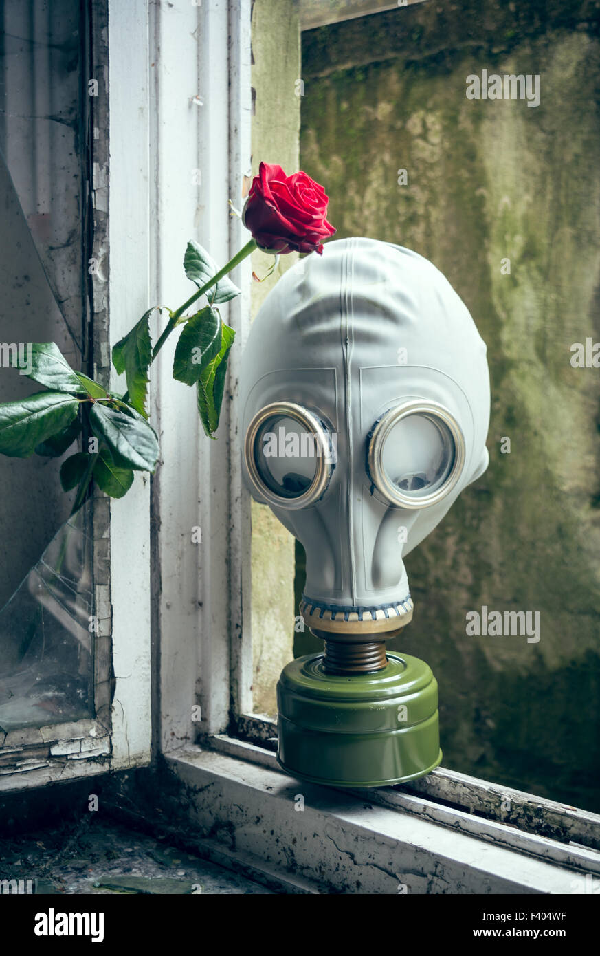 Mask And Rose High Resolution Stock Photography and Images - Alamy