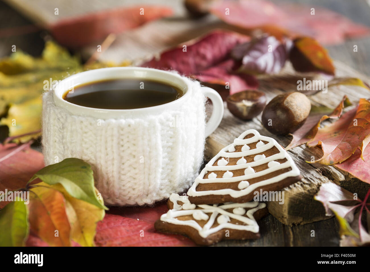 Ginger biscuits hi-res stock photography and images - Alamy