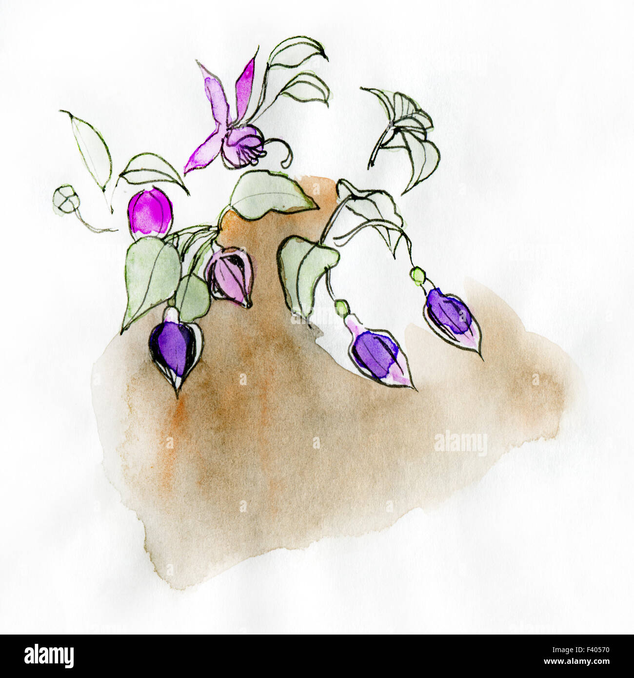 Fuchsia fantasy hi-res stock photography and images - Alamy