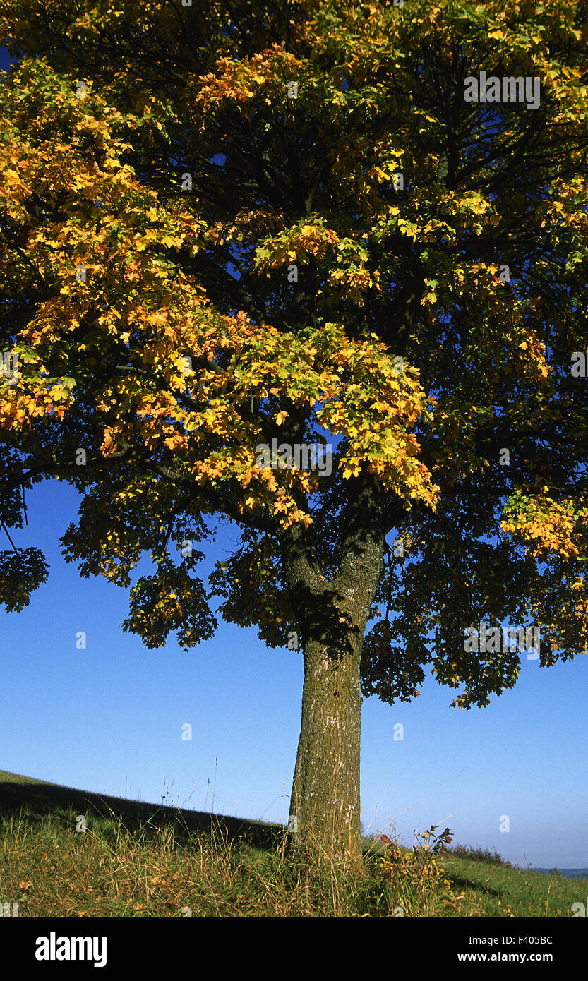 Massholder hi-res stock photography and images - Alamy