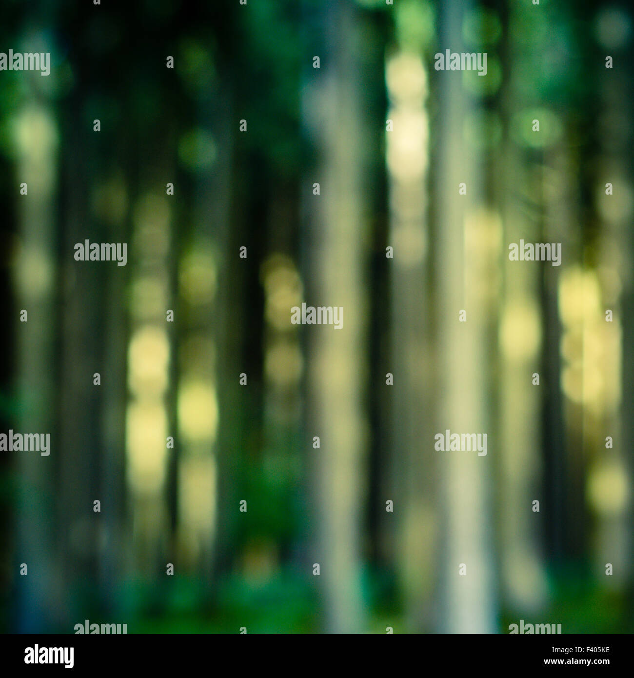 Vintage faded blurred nature background hi-res stock photography and ...