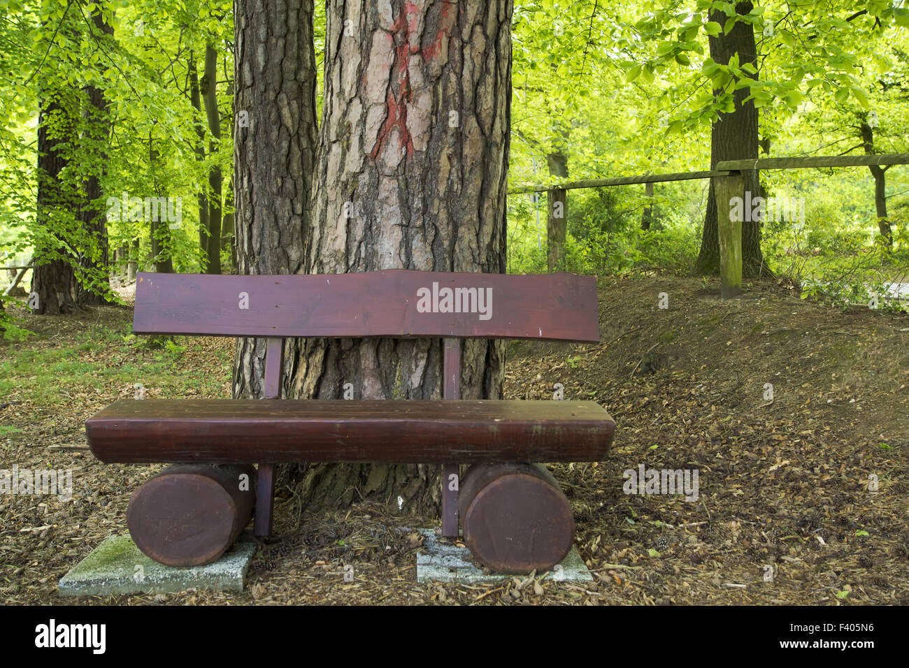 Bank in Forest Stock Photo - Alamy