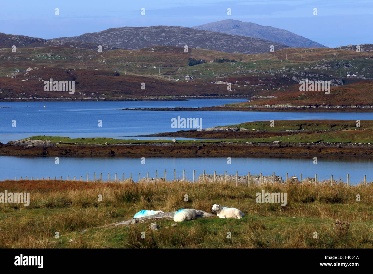 Lewis hebrides scotland coast hi-res stock photography and images - Alamy