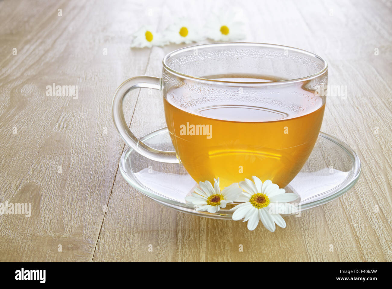 Golden camomile hi-res stock photography and images - Alamy