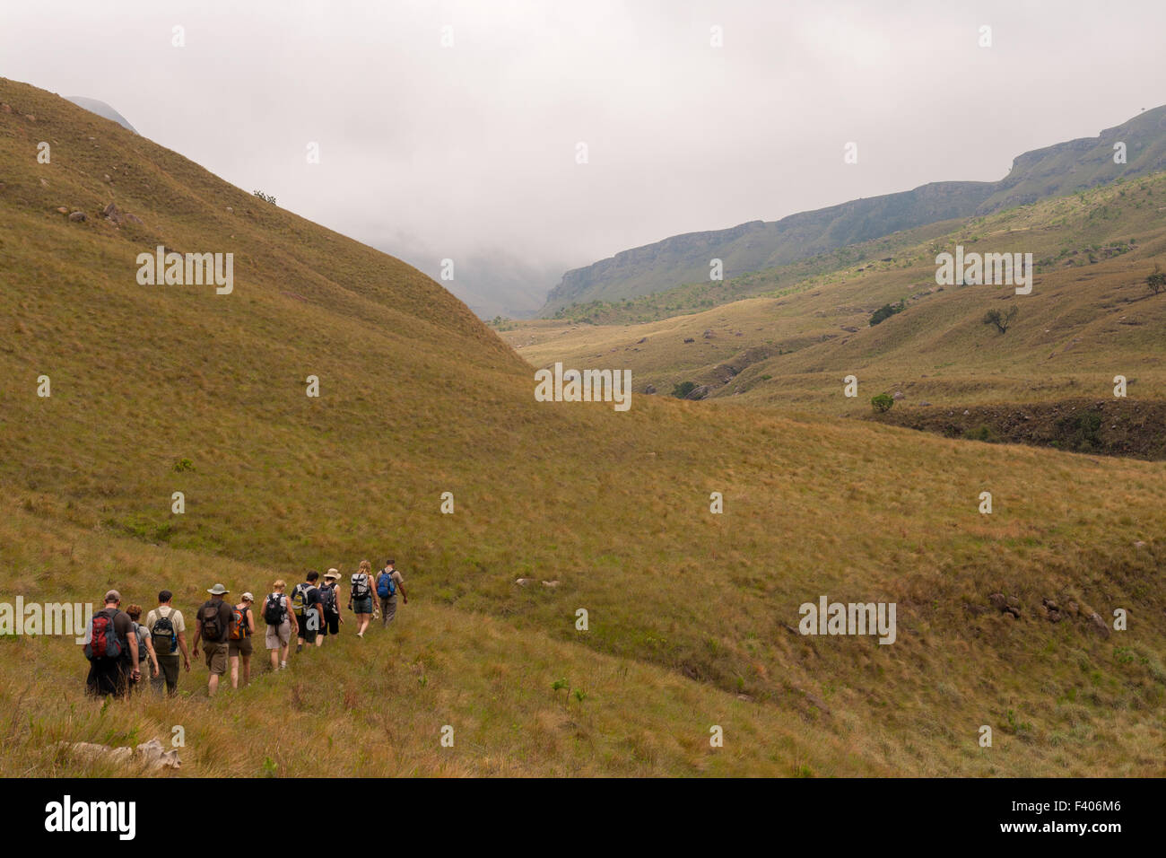 in single file Stock Photo - Alamy