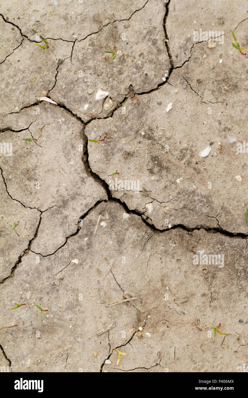 Saline soil hi-res stock photography and images - Alamy