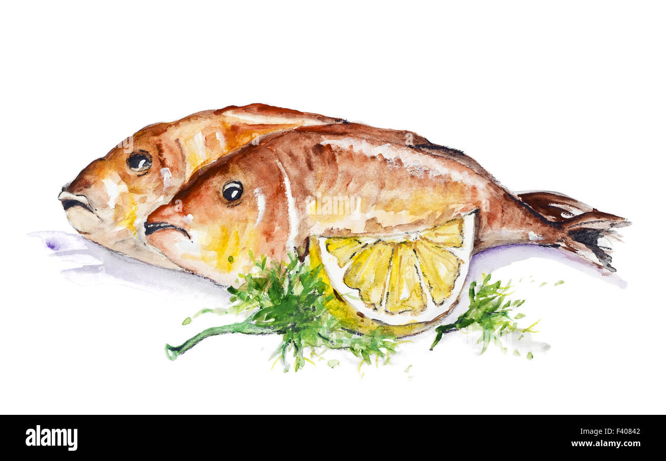 Dorado grill Cut Out Stock Images & Pictures - Alamy