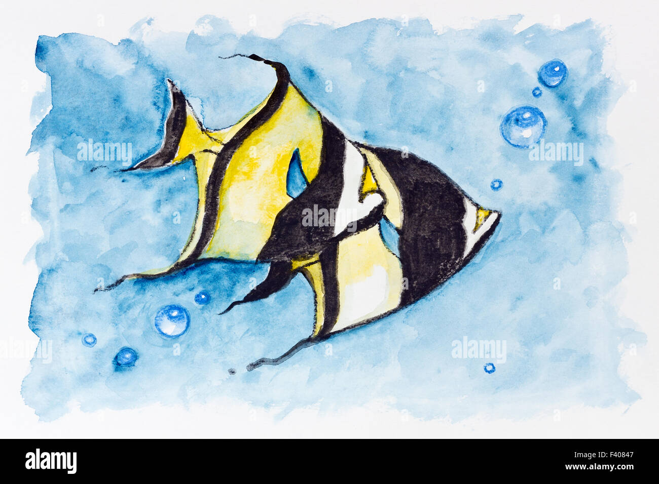 Banner fish hi-res stock photography and images - Alamy
