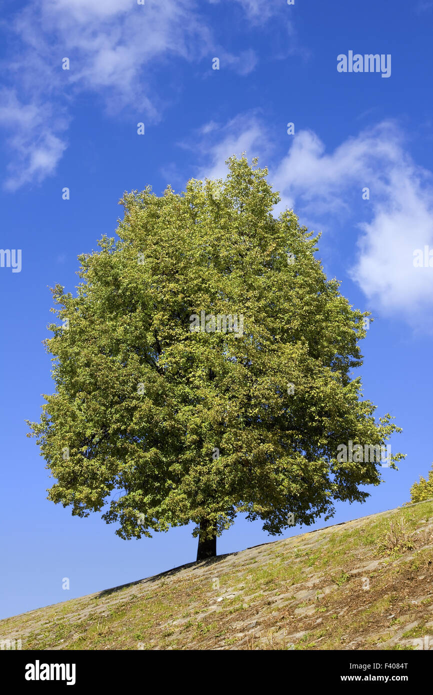 Vertical sunny hi-res stock photography and images - Alamy