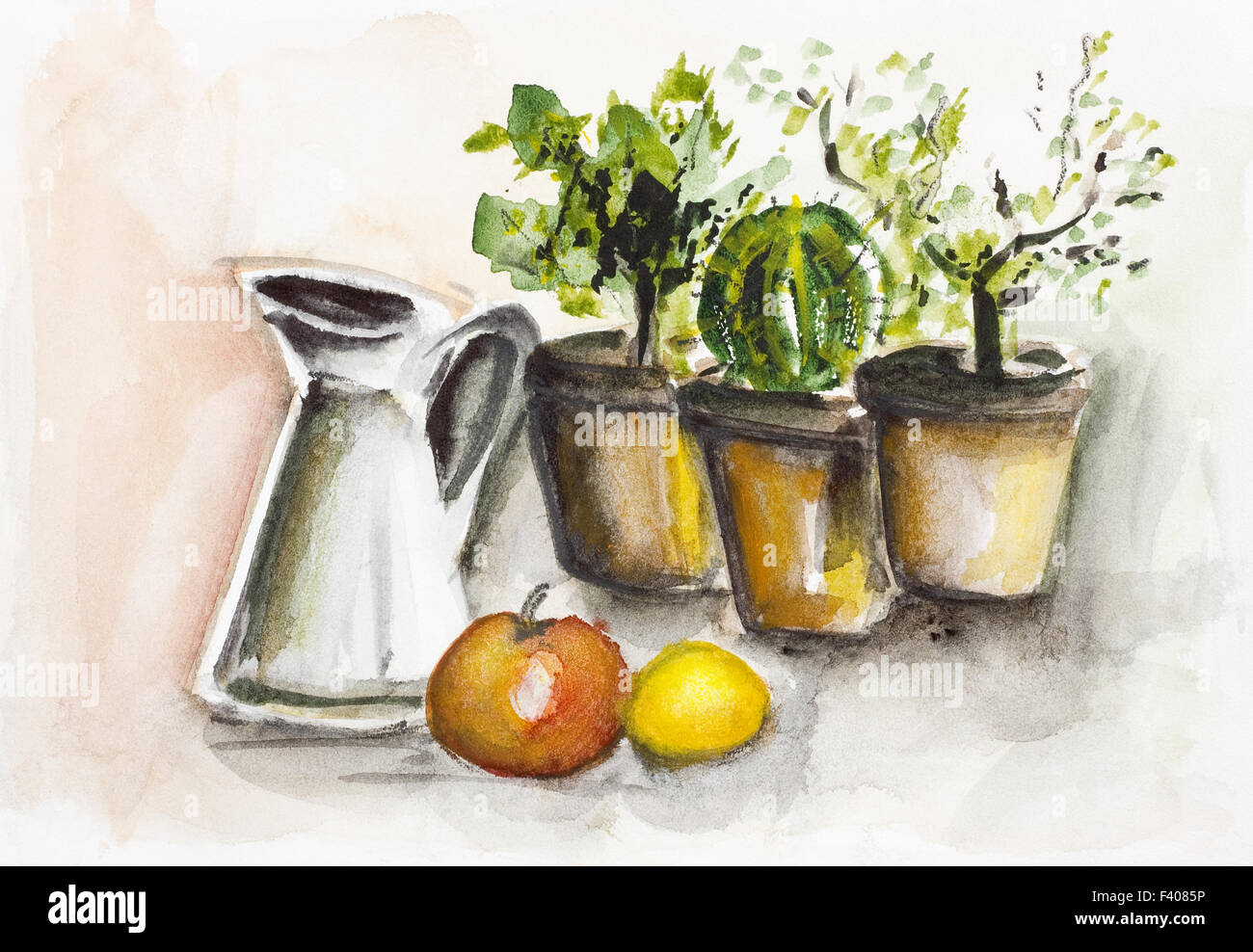 House plant indoor plant watercolor pot hi-res stock photography and ...