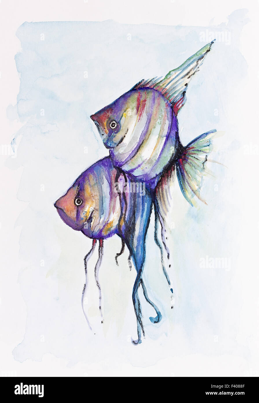 Red sea butterfly fish Stock Photo - Alamy