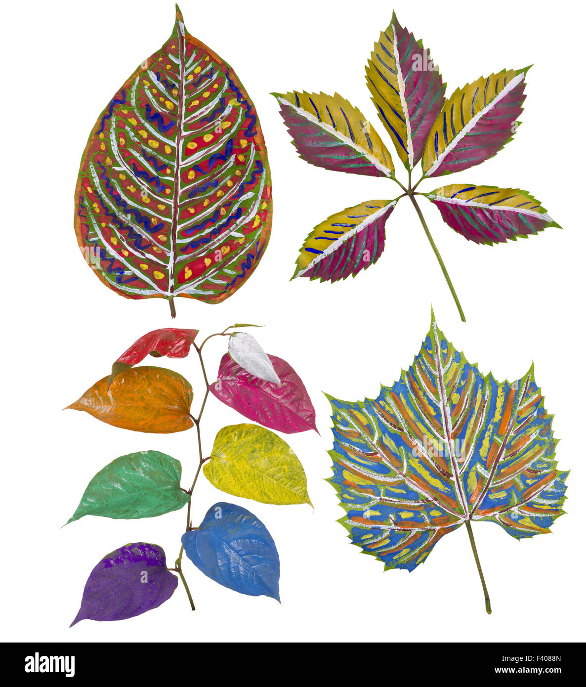 Primitive painted leaves set Stock Photo - Alamy
