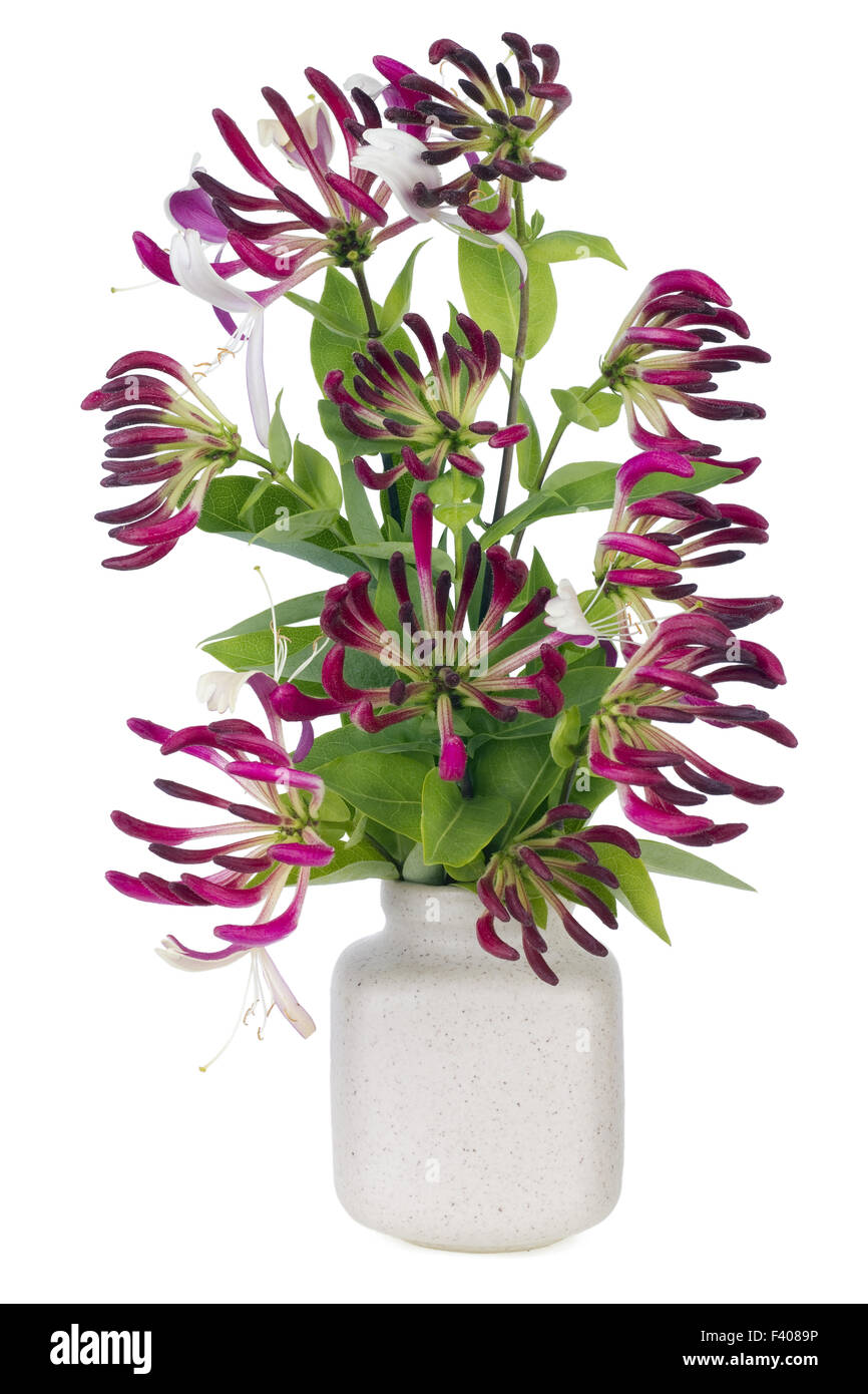 Minimalistic objects Cut Out Stock Images & Pictures - Alamy