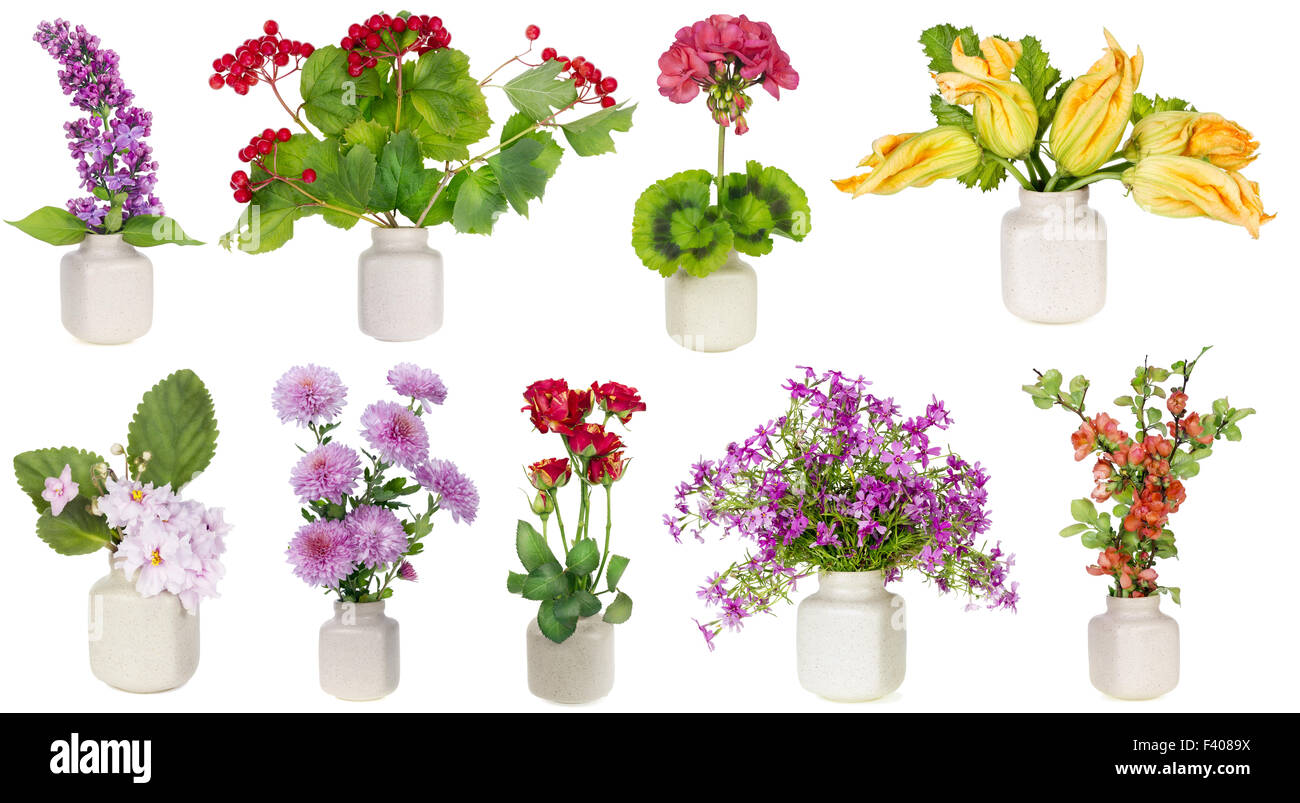 minimalistic floral bouquets set Stock Photo - Alamy
