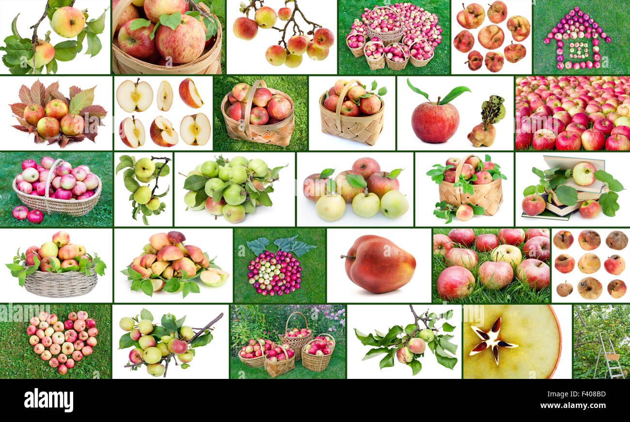 Only apples fruits set Stock Photo - Alamy