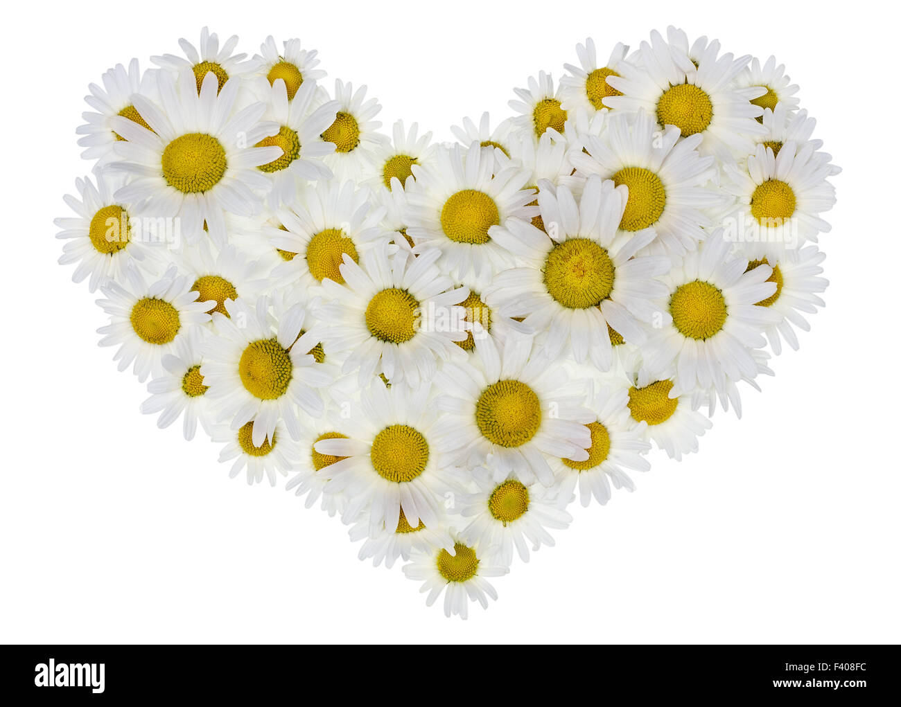 Heart from daisies isolated Stock Photo - Alamy