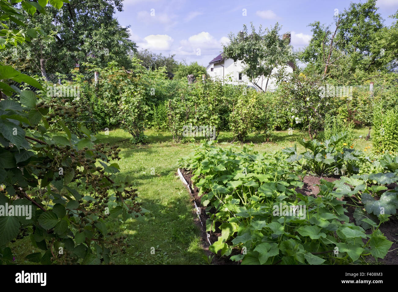 Sunny garden hi-res stock photography and images - Alamy