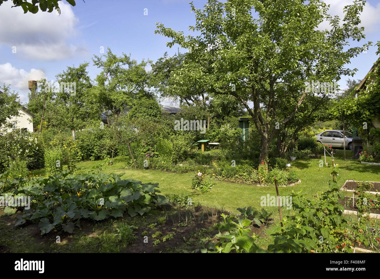 Green sunny garden Stock Photo - Alamy
