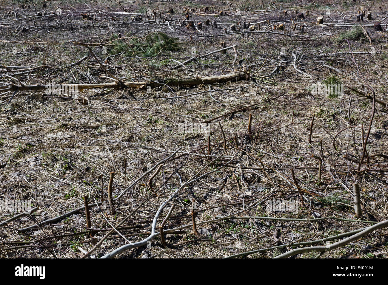 Death of the earth hi-res stock photography and images - Alamy