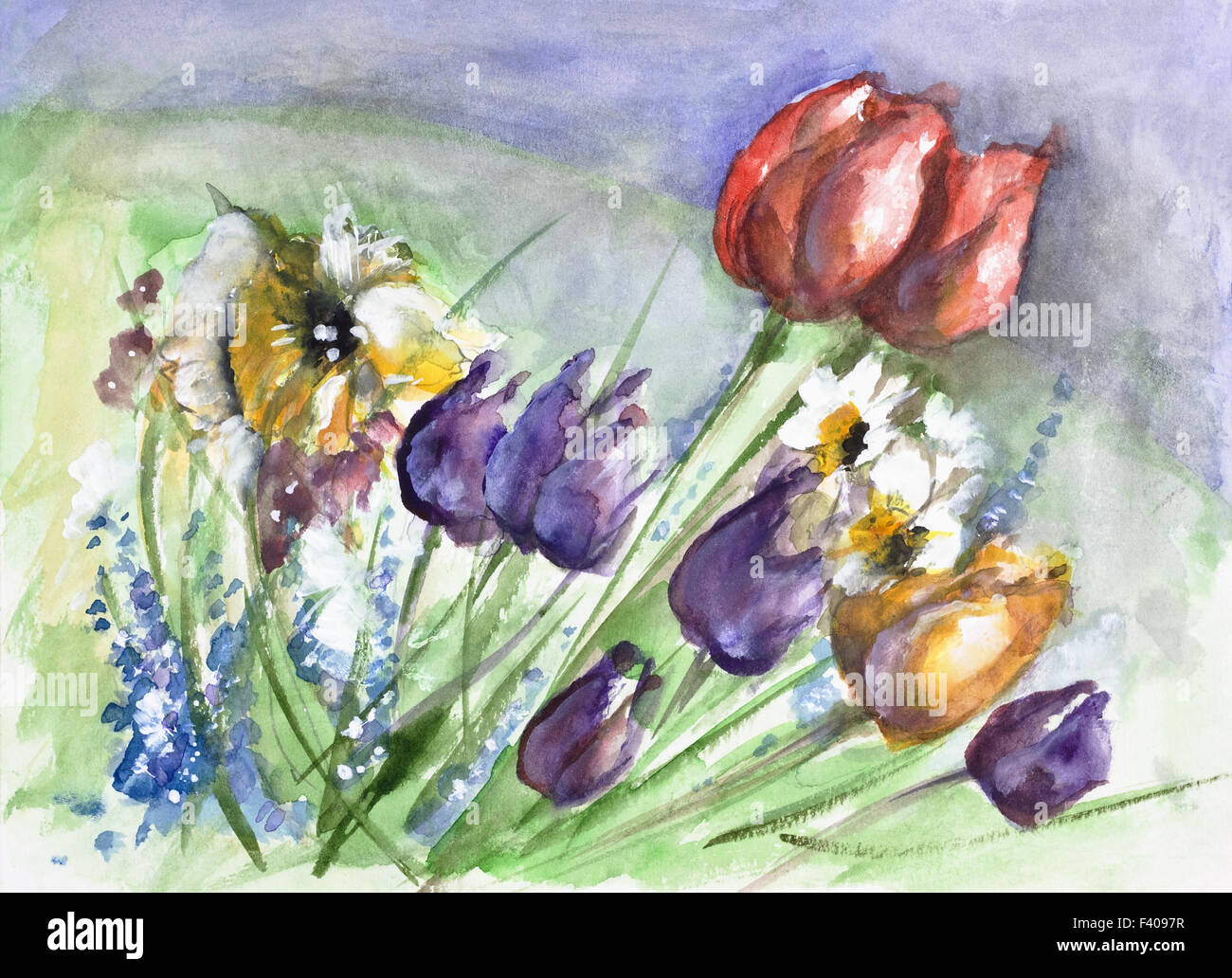 Flowers may hi-res stock photography and images - Alamy