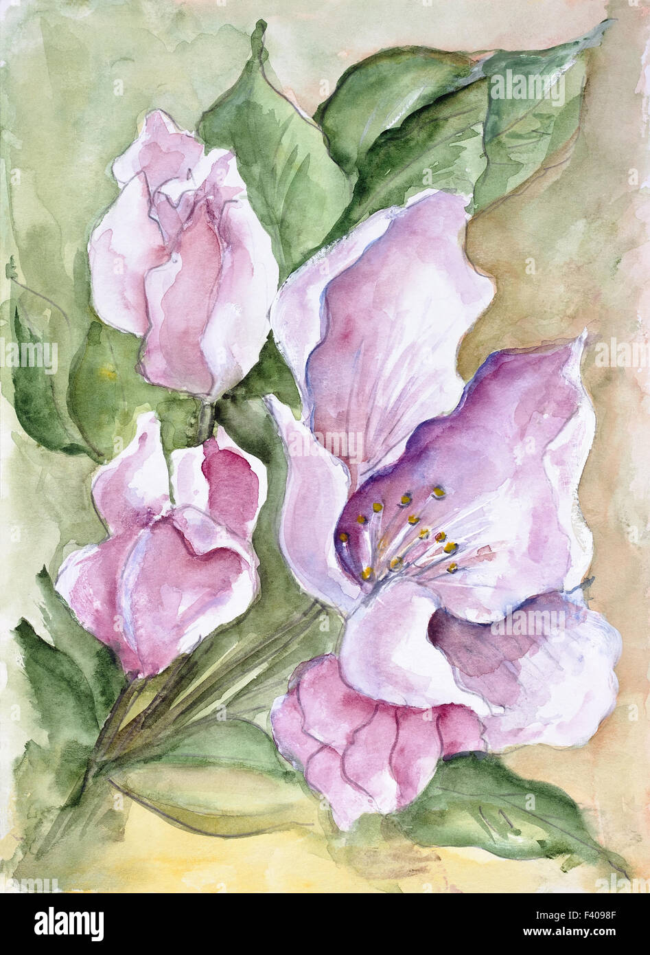 May tree illustration hi-res stock photography and images - Alamy
