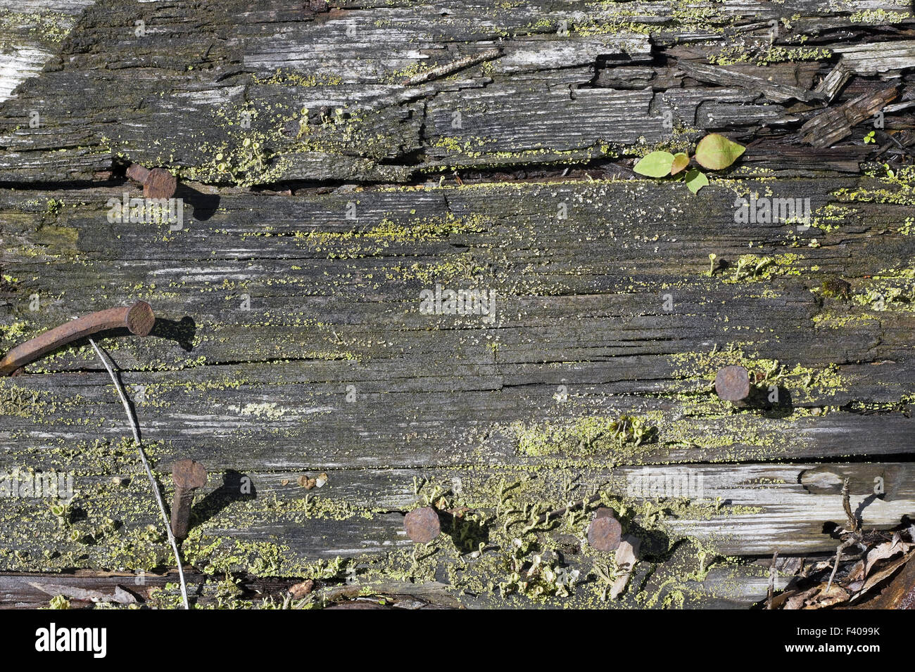 Rotten wooden structure hi-res stock photography and images - Alamy