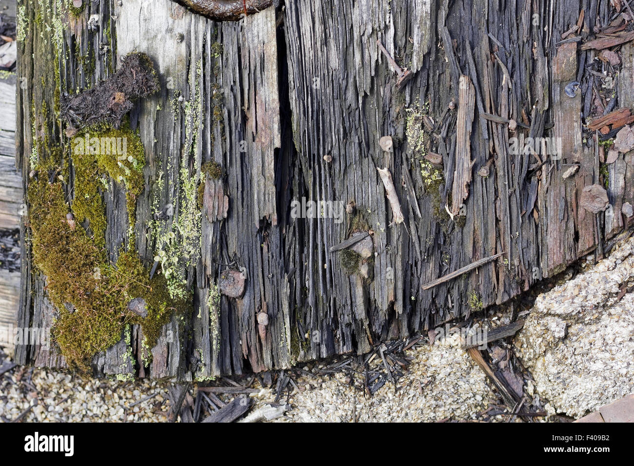 Rotten wooden board Stock Photo - Alamy