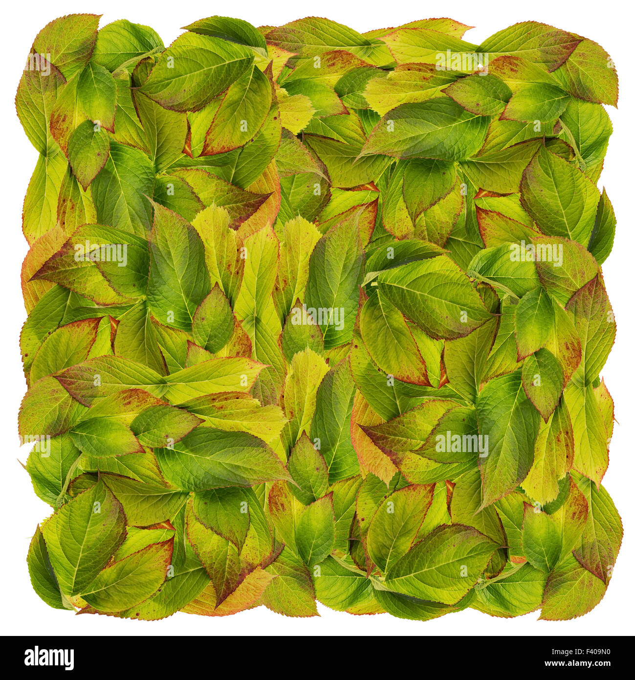 Frame from colorful autumn Cut Out Stock Images & Pictures - Alamy