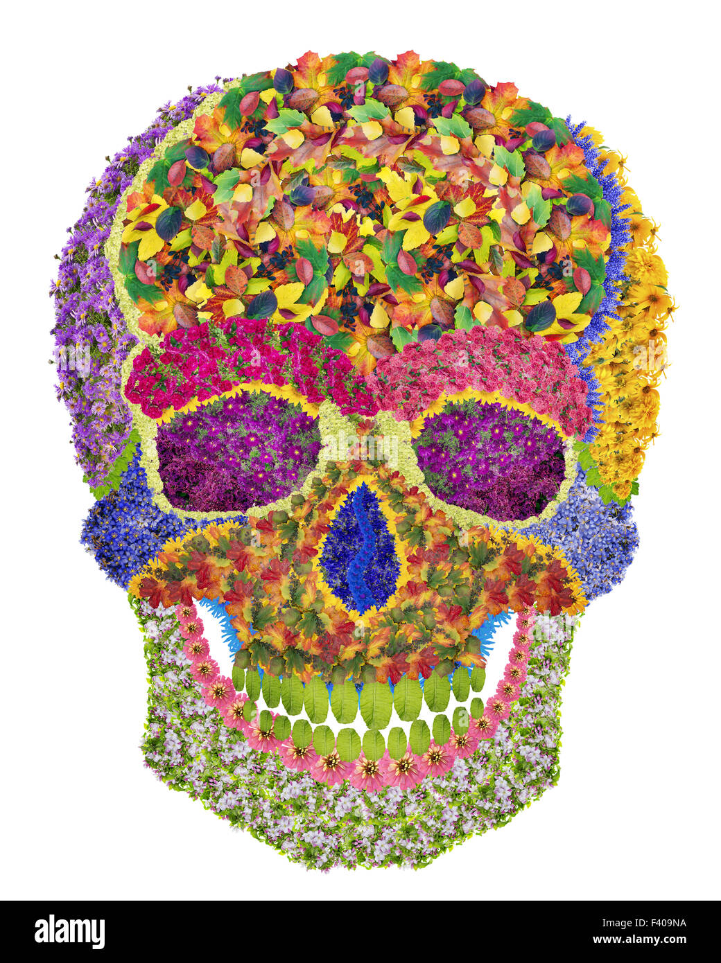 Skull texture hi-res stock photography and images - Alamy