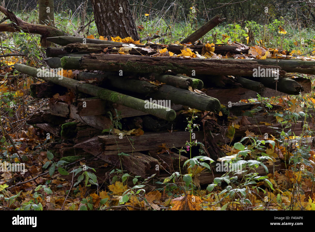 Stack of wood hi-res stock photography and images - Alamy