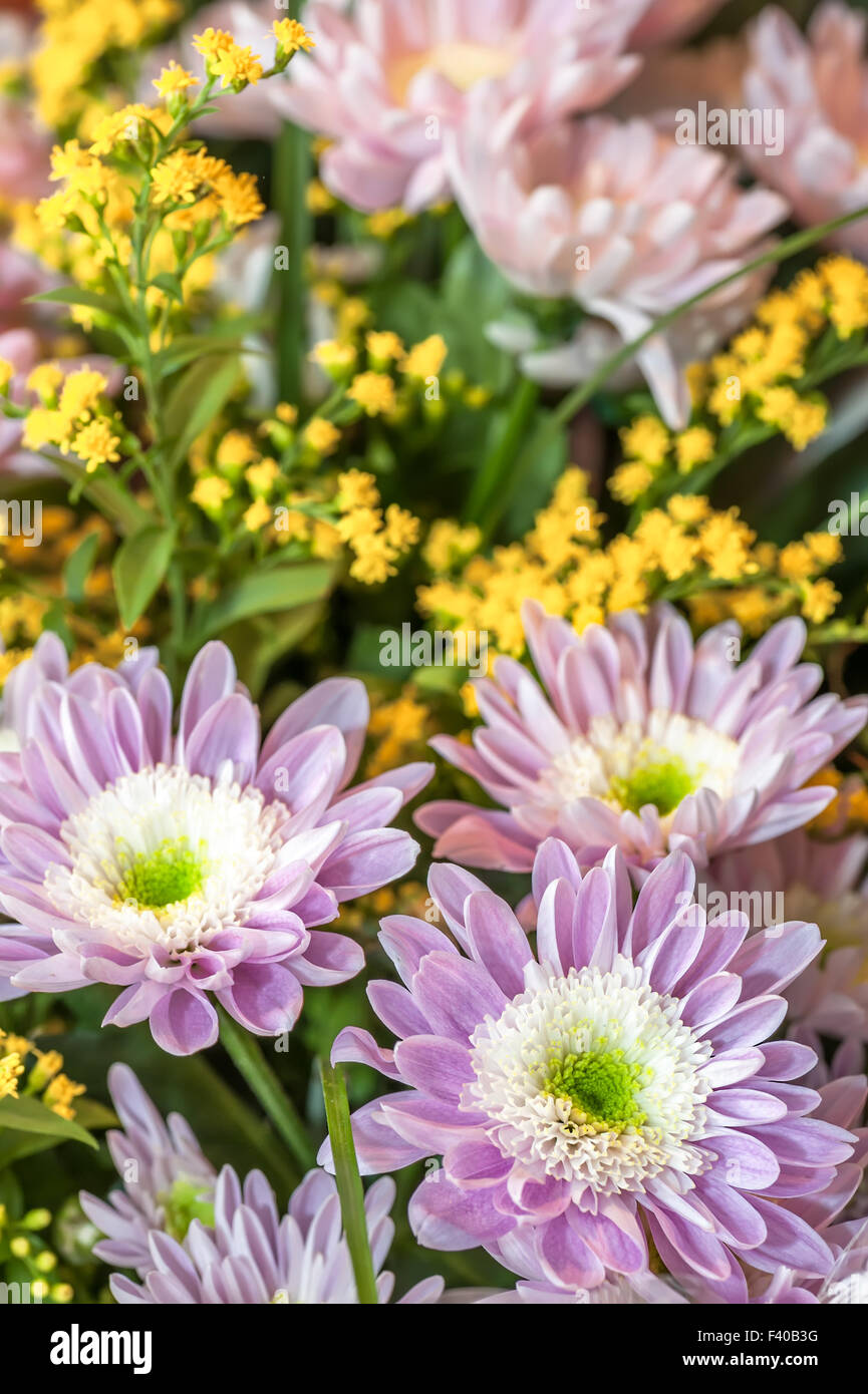 Aster bouquet hi-res stock photography and images - Alamy