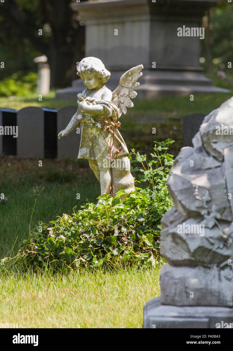 Baby Angle Walking in Cemetery Stock Photo - Alamy