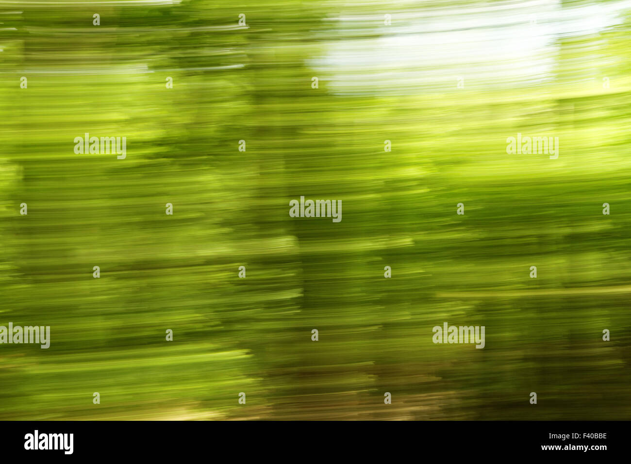 Forest path trees background blur hi-res stock photography and images ...