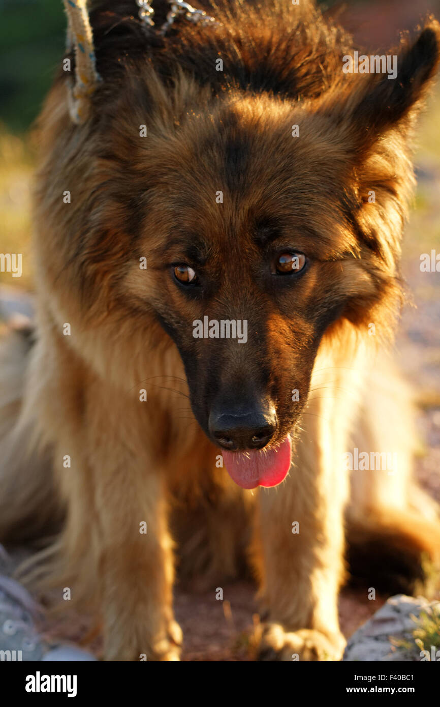 Photo friendly hi-res stock photography and images - Alamy