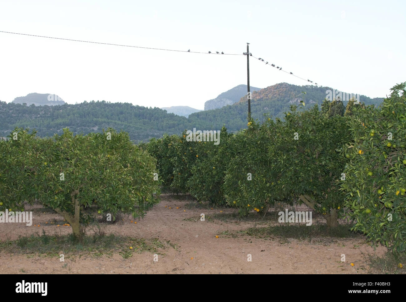 Chatter hi-res stock photography and images - Alamy