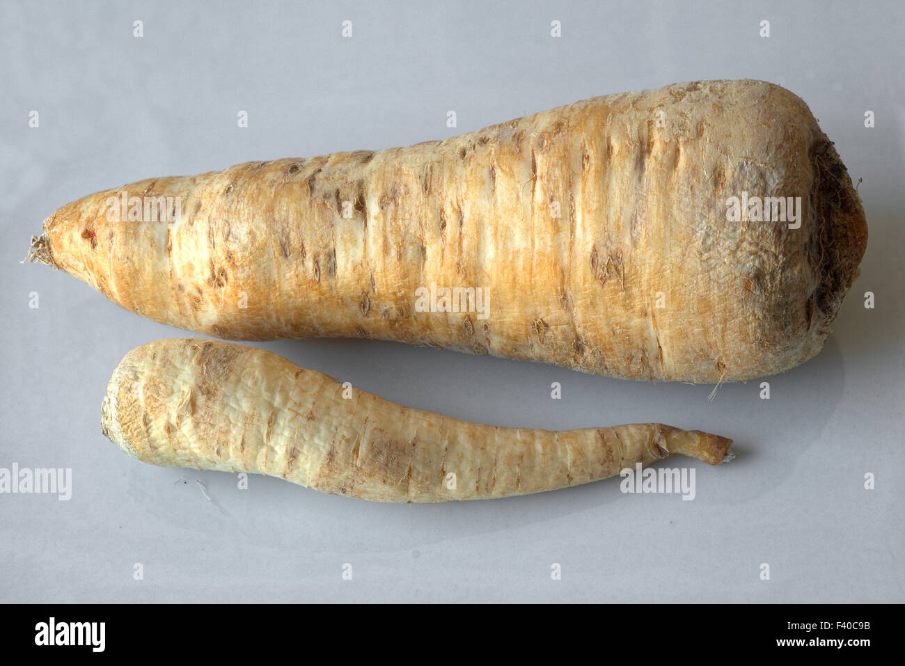 Parsley roots, cutout Stock Photo - Alamy